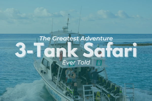 The Greatest Adventure Ever Told - The 3-Tank Safari by Ocean Frontiers ...
